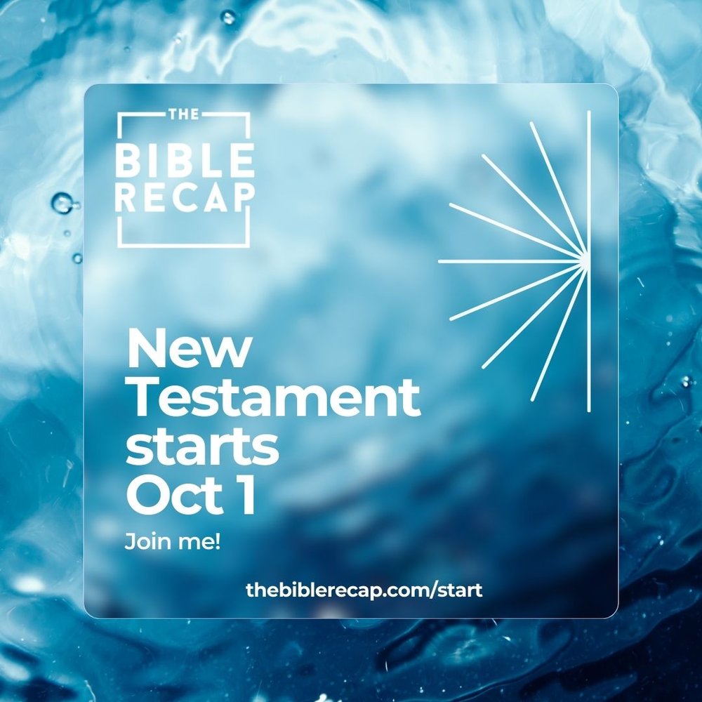 The Bible Recap NT Study – Arise Women's Ministries